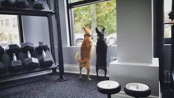 The Diet Doc Difference in Chicago - The Diet Doc Difference locations ...